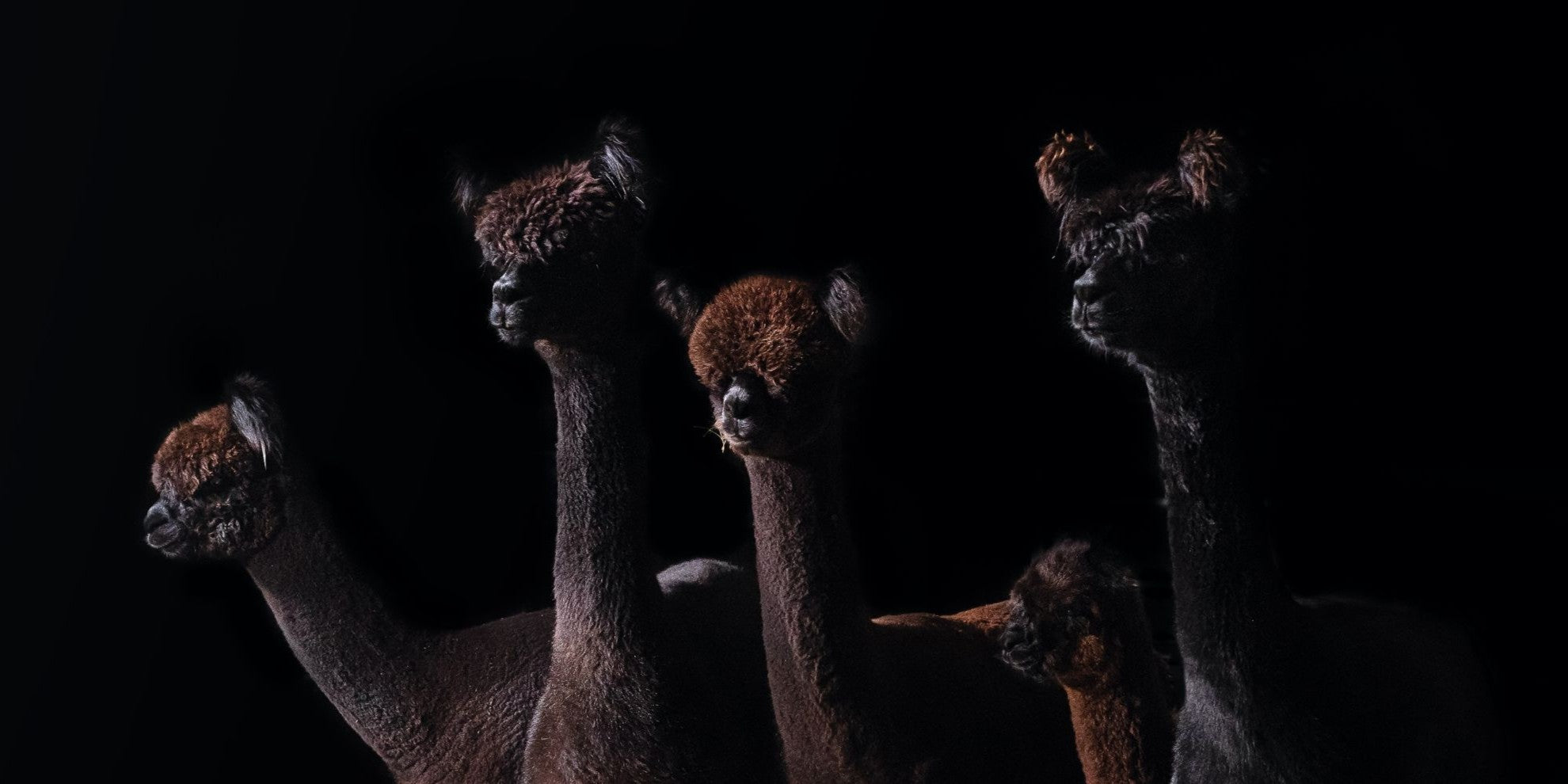 Ruukin Kehräämö - Kestävä ylellinen neulevaatetus